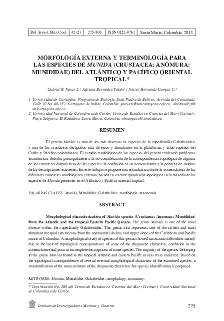 (PDF) Morphological Characterization of Munida Species (Crustacea ...