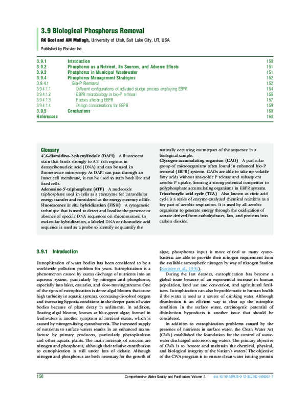 (PDF) Biological Phosphorus Removal (PDF) Biological Phosphorus Removal