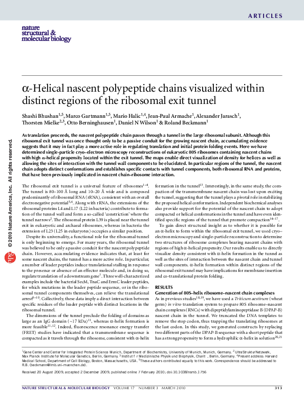 (PDF) alpha-Helical nascent polypeptide chains visualized within ...
