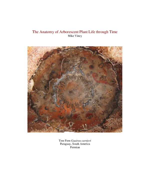 (PDF) Petrified Wood: The Anatomy of Arborescent Plant Life through Time