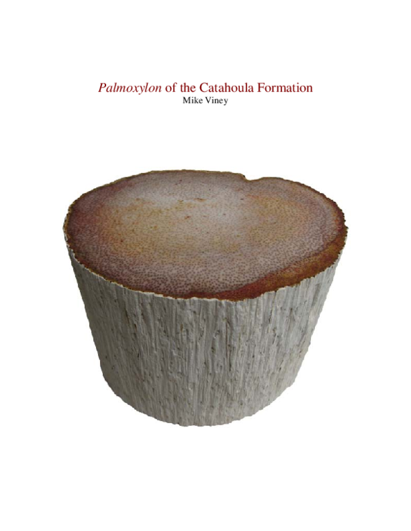 (PDF) Palmoxylon of the Catahoula Formation