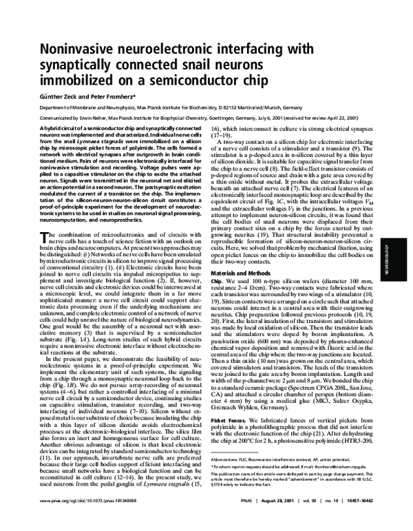 (PDF) Neuron Adhesion on a Silicon Chip Probed by an Array of Field-Effect Transistors | Peter ...