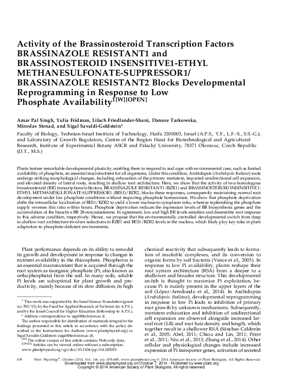 (PDF) Activity of the brassinosteroid transcription factors ...
