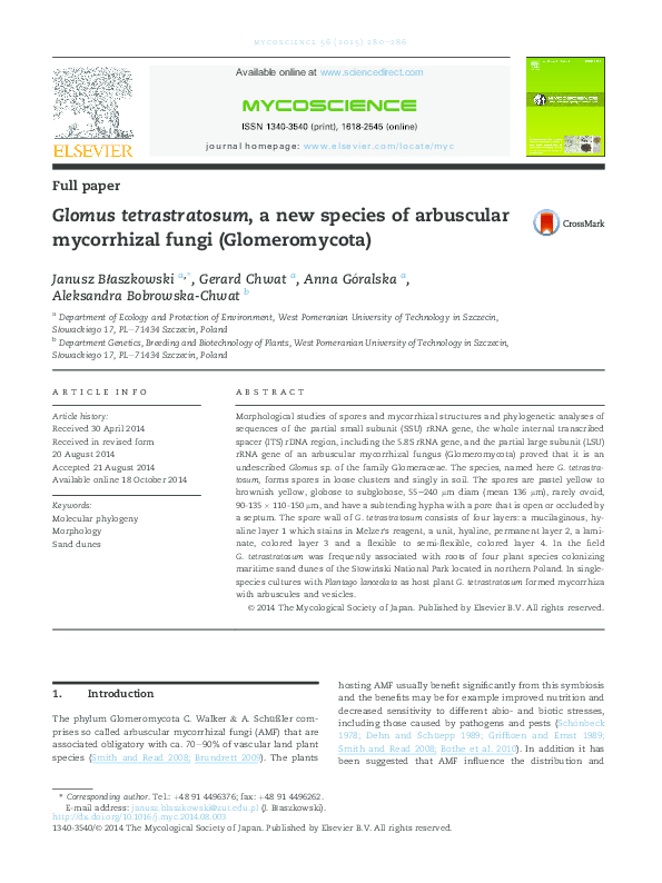 (PDF) Glomus tetrastratosum, a new species of arbuscular mycorrhizal fungi (Glomeromycota)