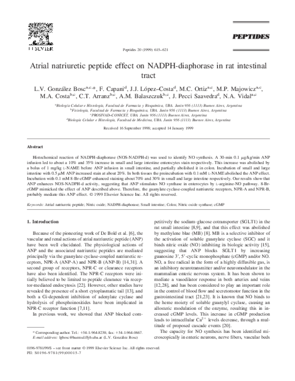 (PDF) Atrial natriuretic peptide effect on NADPH-diaphorase in rat ...