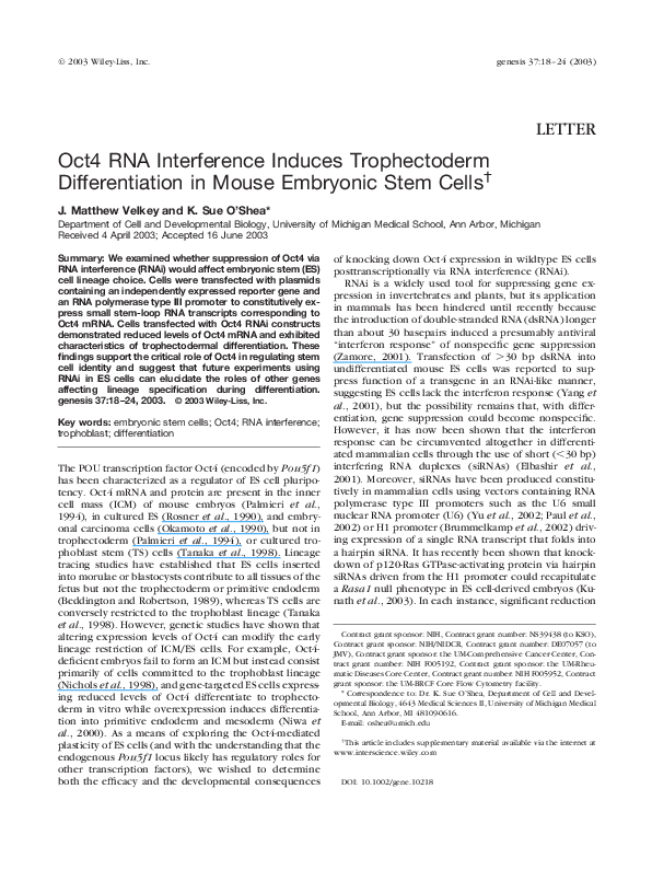 (PDF) Oct4 RNA interference induces trophectoderm differentiation in ...