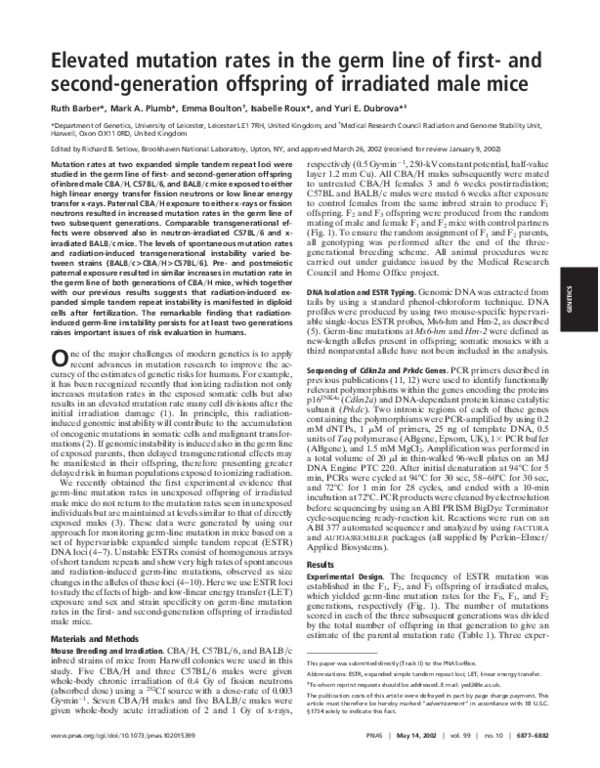 (PDF) Elevated mutation rates in the germ line of first-and second ...