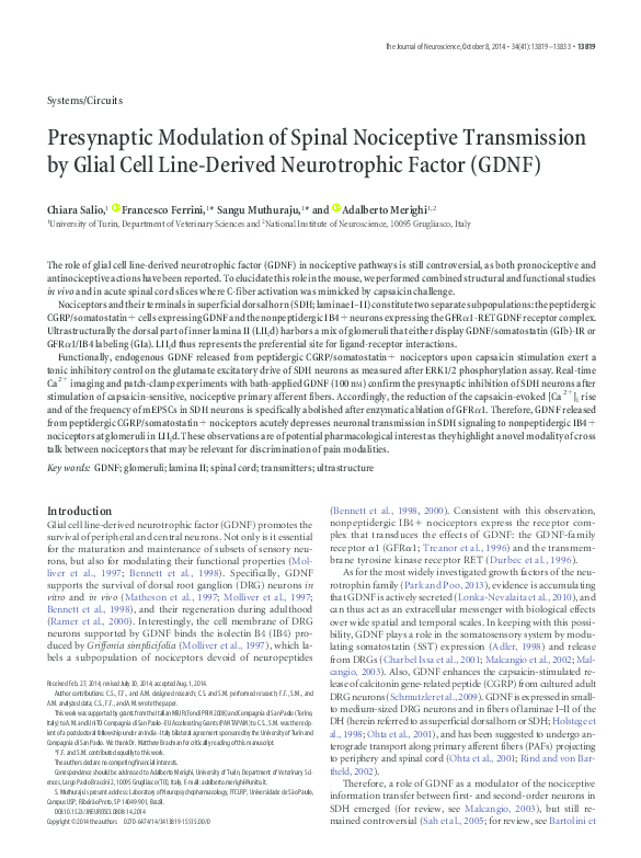 (PDF) Presynaptic Modulation of Spinal Nociceptive Transmission by Glial Cell Line-Derived ...