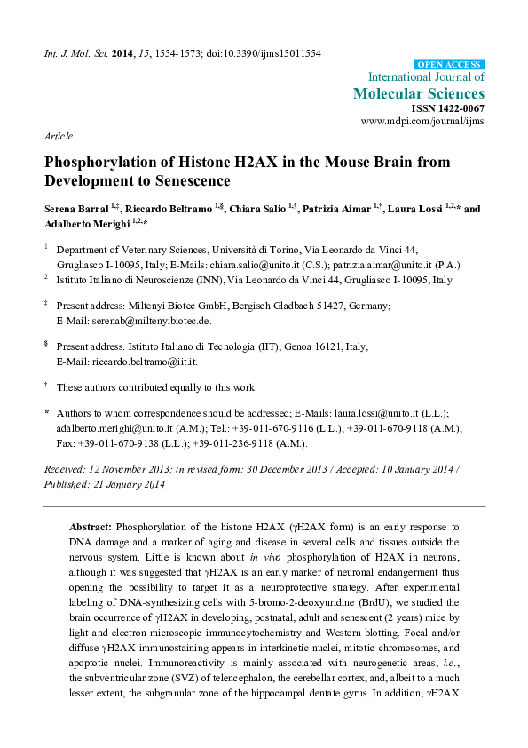 (PDF) Phosphorylation of histone H2AX in the mouse brain from ...