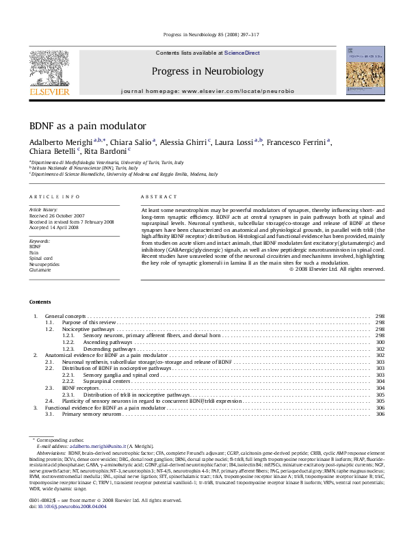 (PDF) BDNF as a pain modulator