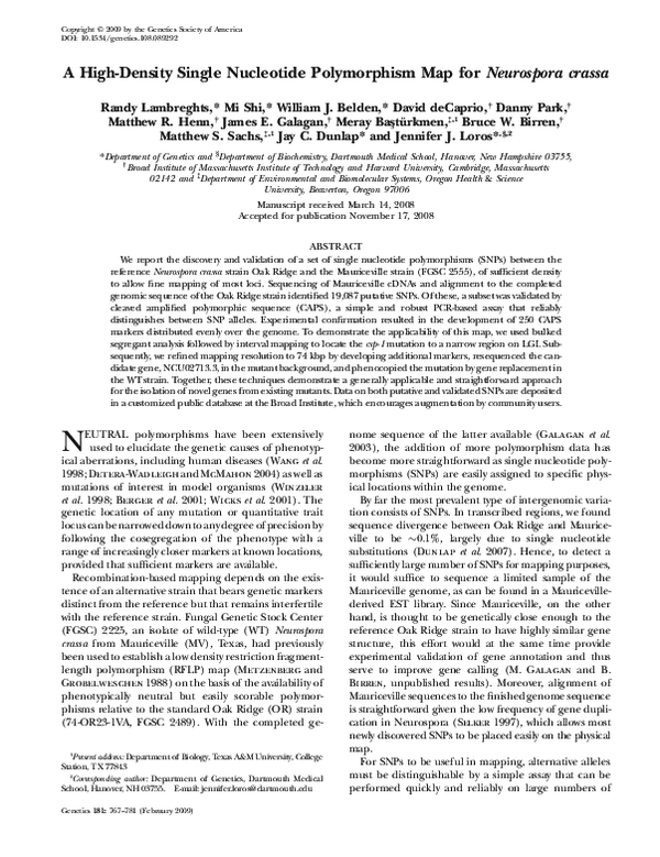 (PDF) A High-Density Single-Nucleotide Polymorphism Map of Xq25–q28