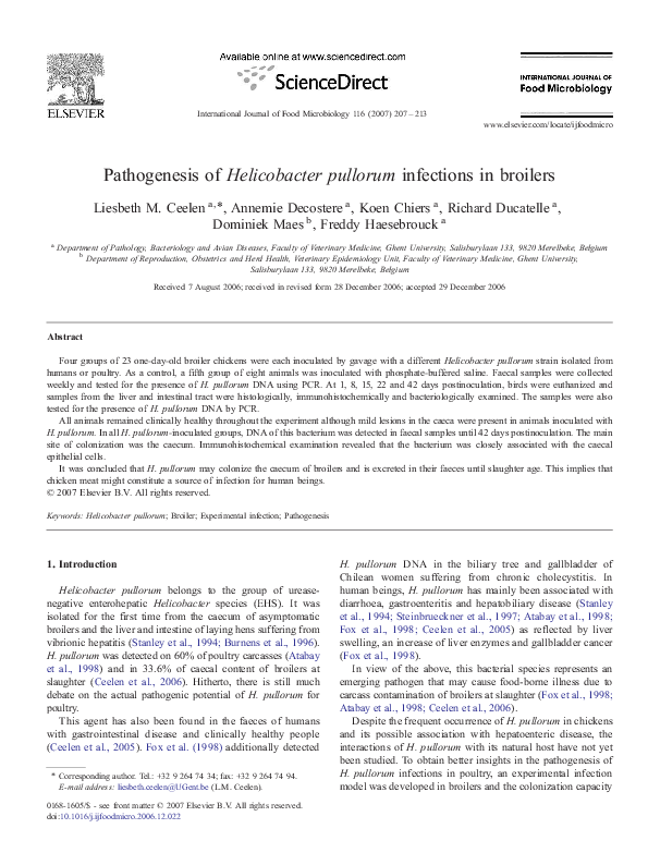 (PDF) Helicobacter pullorum Infection Pathogenesis in Broiler Chickens