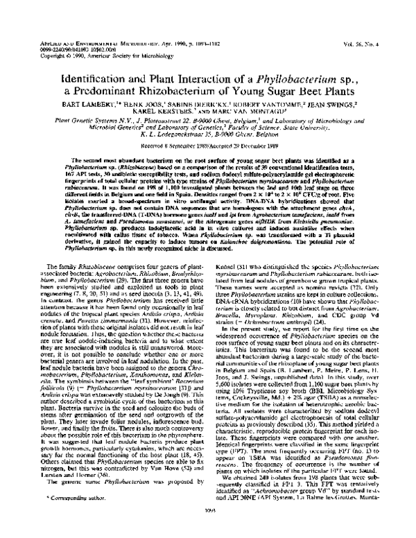 (PDF) Identification and Plant Interaction of a Phyllobacterium sp., a ...
