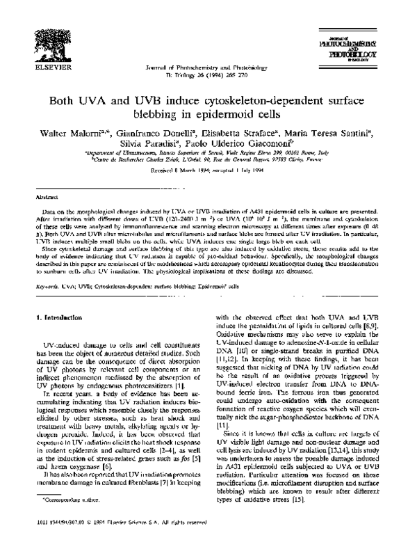 (PDF) Both UVA and UVB induce cytoskeleton-dependent surface blebbing ...
