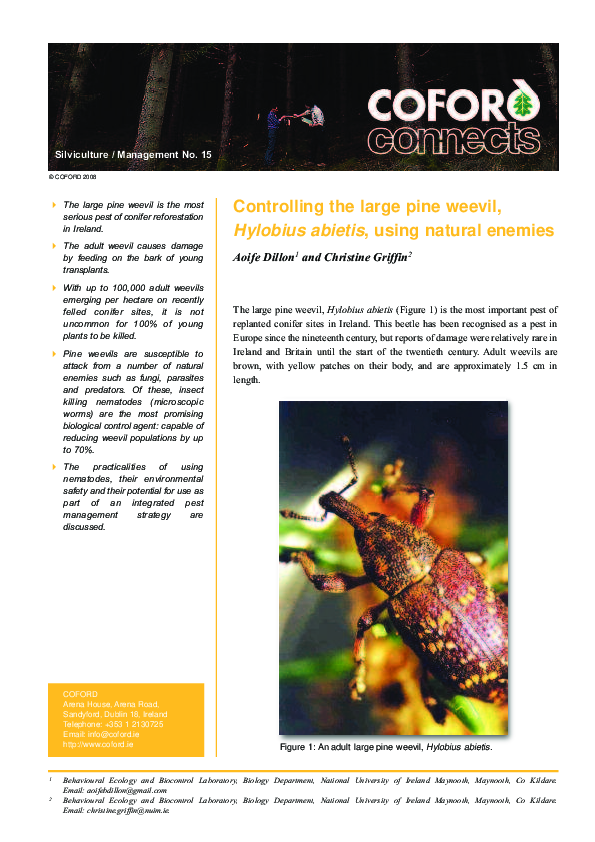 (PDF) Controlling the large pine weevil, Hylobius abietis, using ...