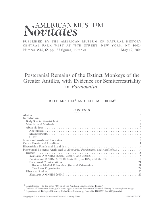 (PDF) Postcranial remains of the extinct monkeys of the greater ...