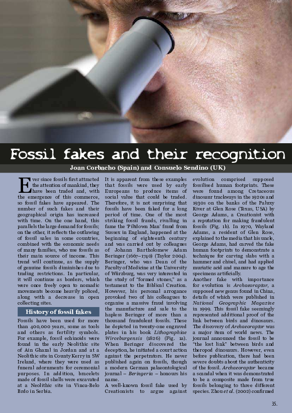 (PDF) Fossil fakes and their recognition