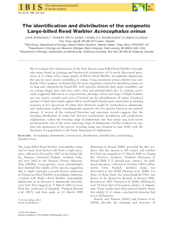 (PDF) The identification and distribution of the enigmatic Large-billed ...