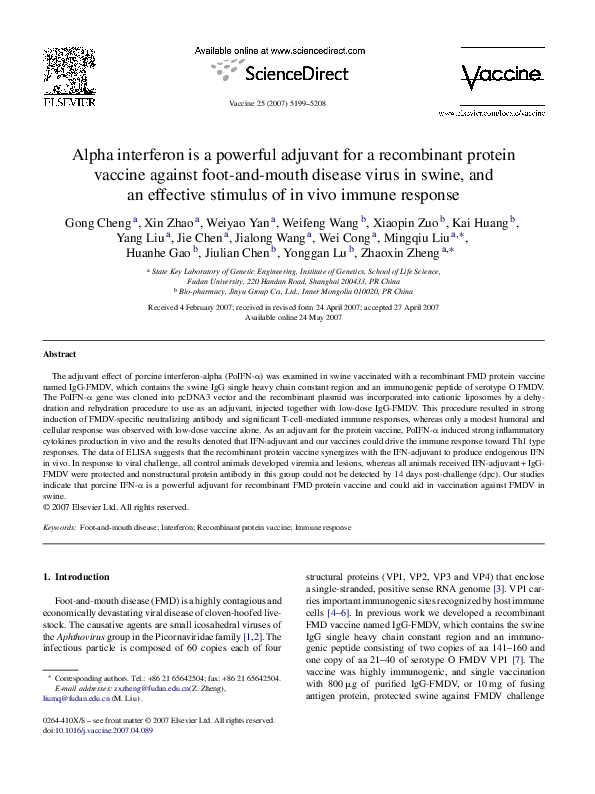 (PDF) Alpha interferon is a powerful adjuvant for a recombinant protein ...