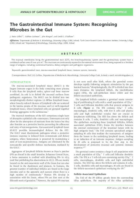 (PDF) The Gastrointestinal Immune System: Recognising Microbes in the Gut