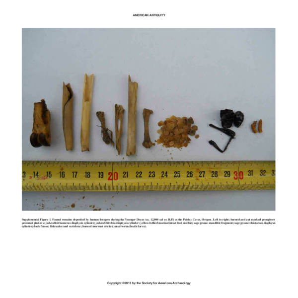 (PDF) Identifying stone tool cut marks and the pre-Clovis occupation of ...