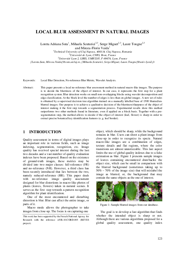 (PDF) Local Blur Assessment in Natural Images