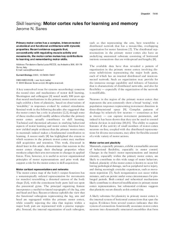 (PDF) Skill learning: Motor cortex rules for learning and memory