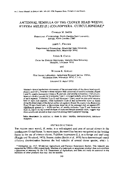 (PDF) Antennal sensilla of the clover head weevil Hypera Meles (F ...