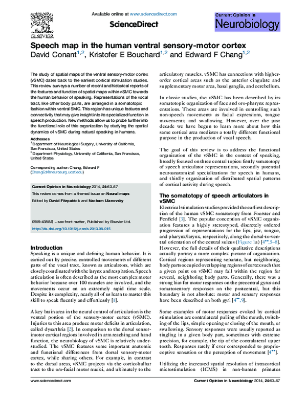 (PDF) Speech map in the human ventral sensory-motor cortex