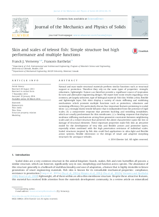 (PDF) Skin and scales of teleost fish: Simple structure but high ...