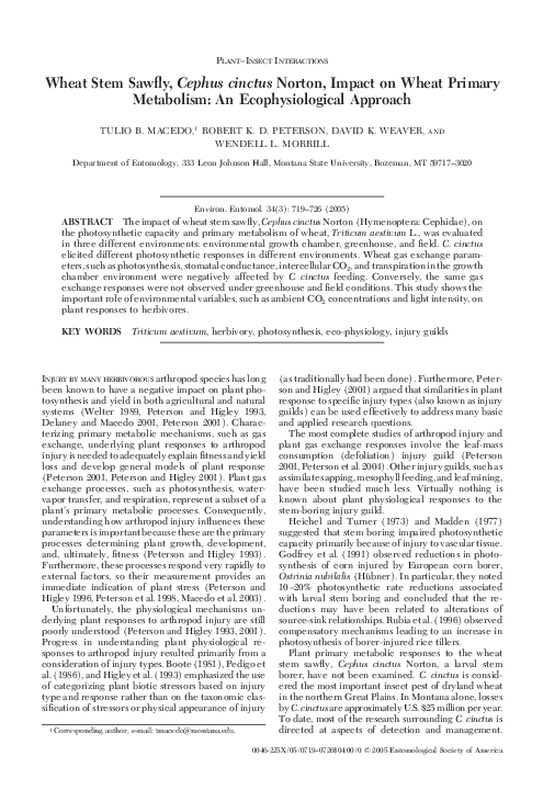 (PDF) Wheat Stem Sawfly, Cephus cinctus Norton, Impact on Wheat Primary ...