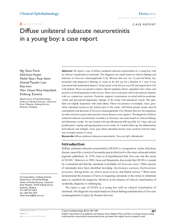 (PDF) Diffuse unilateral subacute neuroretinitis in a young boy: a case ...