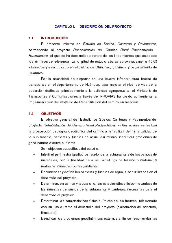 (DOC) CAPITULO I. DESCRIPCIÓN DEL PROYECTO