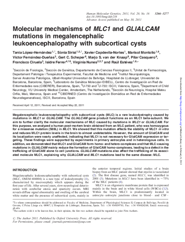 (PDF) Molecular mechanisms of MLC1 and GLIALCAM mutations in ...