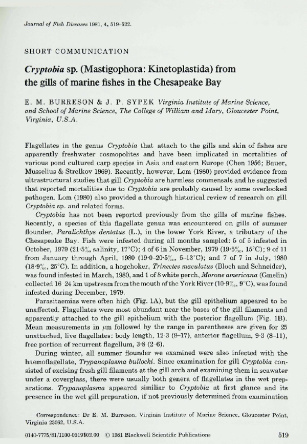 (PDF) Cryptobia sp. (Mastigophora: Kinetoplastida) from the gills of ...
