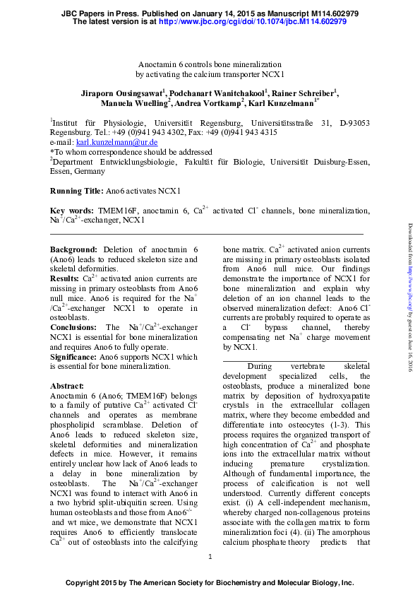(PDF) Anoctamin-6 Controls Bone Mineralization by Activating the ...
