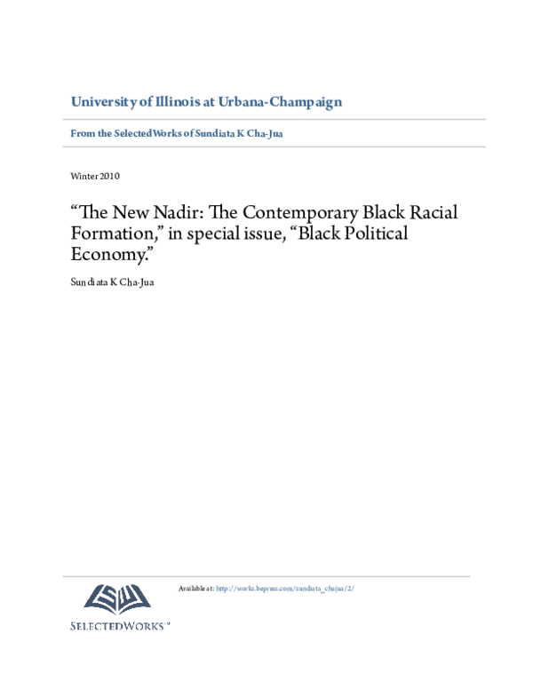 (PDF) The New Nadir: The Contemporary Black Racial Formation