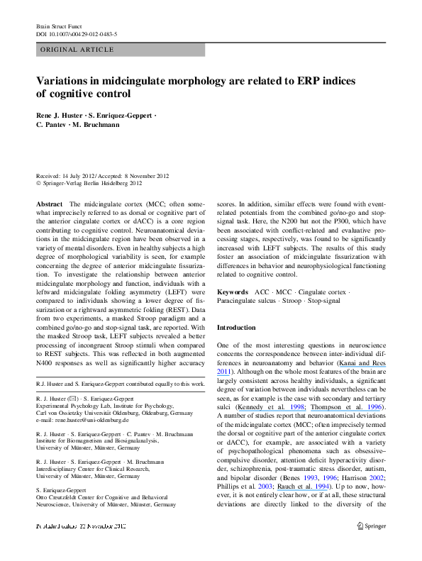 Pdf Variations In Midcingulate Morphology Are Related To Erp Indices Of Cognitive Control