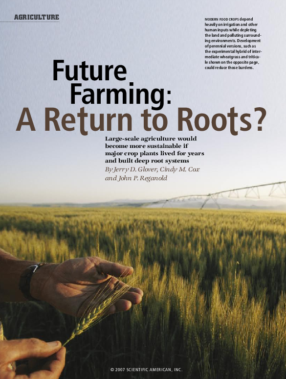 (PDF) Future Farming: A Return to Roots?