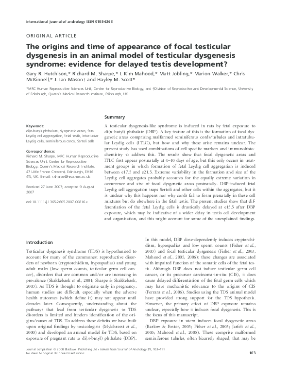 Pdf The Origins And Time Of Appearance Of Focal Testicular Dysgenesis