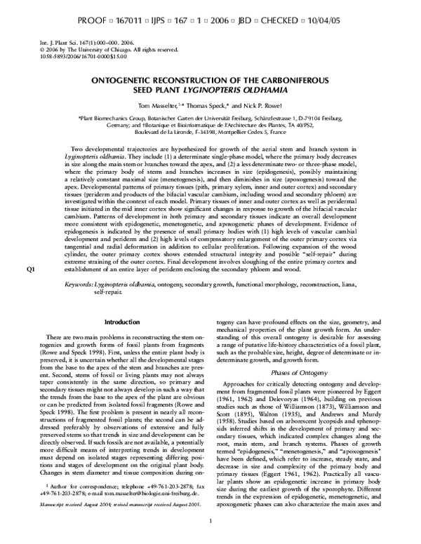(PDF) Ontogenetic Reconstruction of the Carboniferous Seed Plant ...