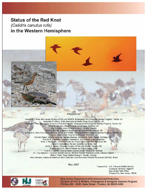 (PDF) Status of the Red Knot (Calidris canutus rufa) in the Western ...