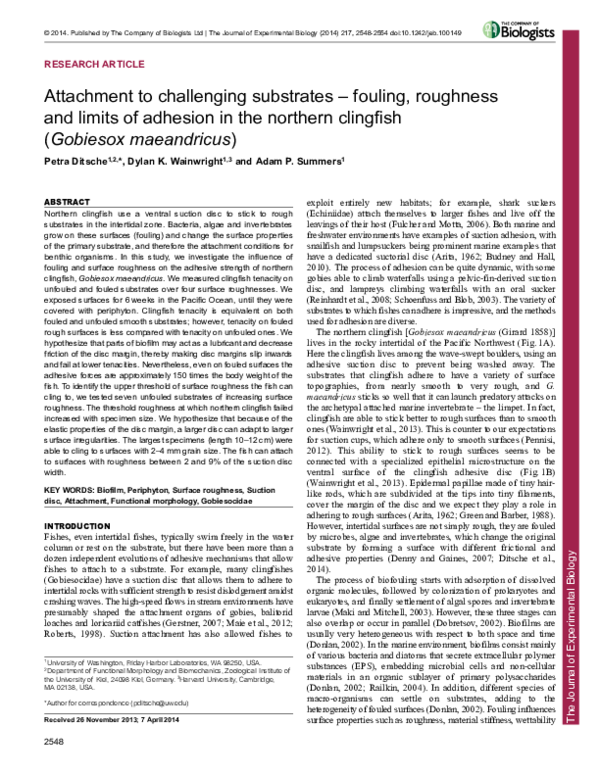 (PDF) Attachment to challenging substrates--fouling, roughness and ...