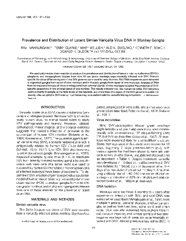 (PDF) Prevalence and distribution of latent simian varicella virus DNA ...