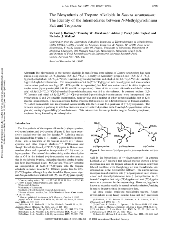 (PDF) The Biosynthesis of Tropane Alkaloids in Datura stramonium: The ...