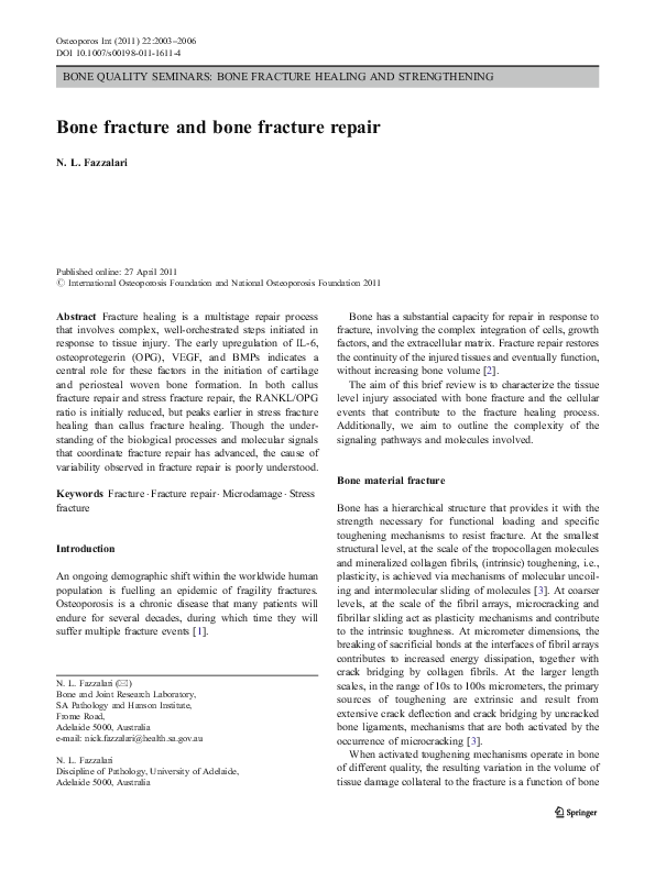 (PDF) Bone fracture and bone fracture repair