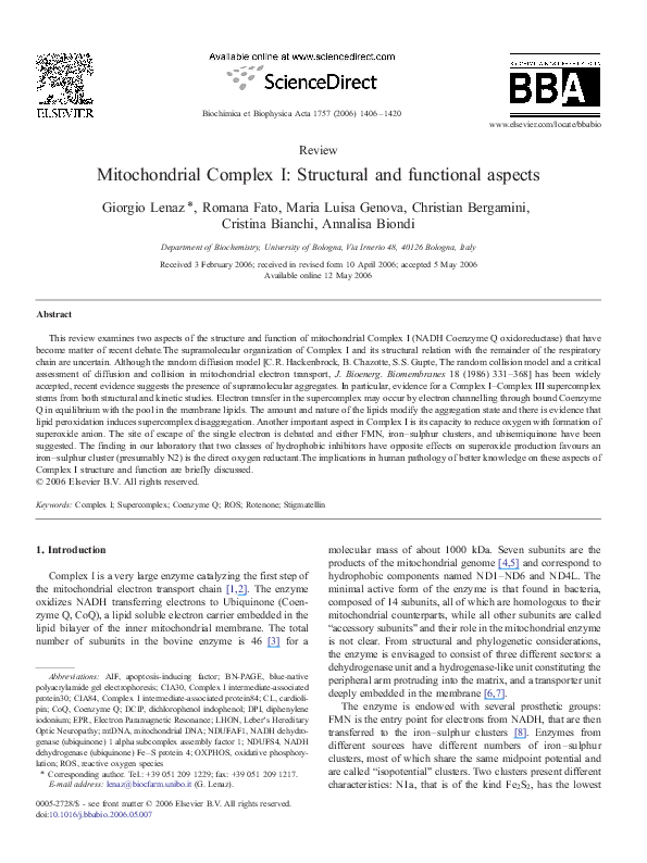 (PDF) Mitochondrial Complex I: Structural and Functional Aspects
