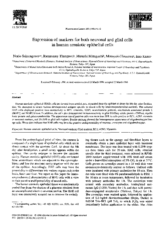 Pdf Expression Of Markers For Both Neuronal And Glial Cells In Human