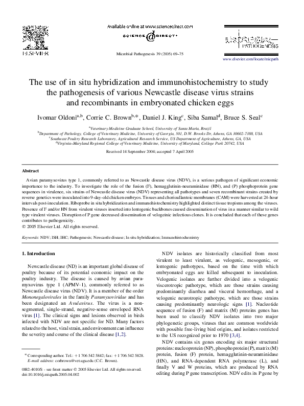 (PDF) Molecular Changes of the Fusion Protein Gene of Chicken Embryo ...