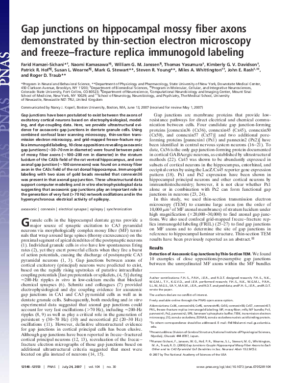 (PDF) Gap junctions on hippocampal mossy fiber axons demonstrated by thin-section electron ...
